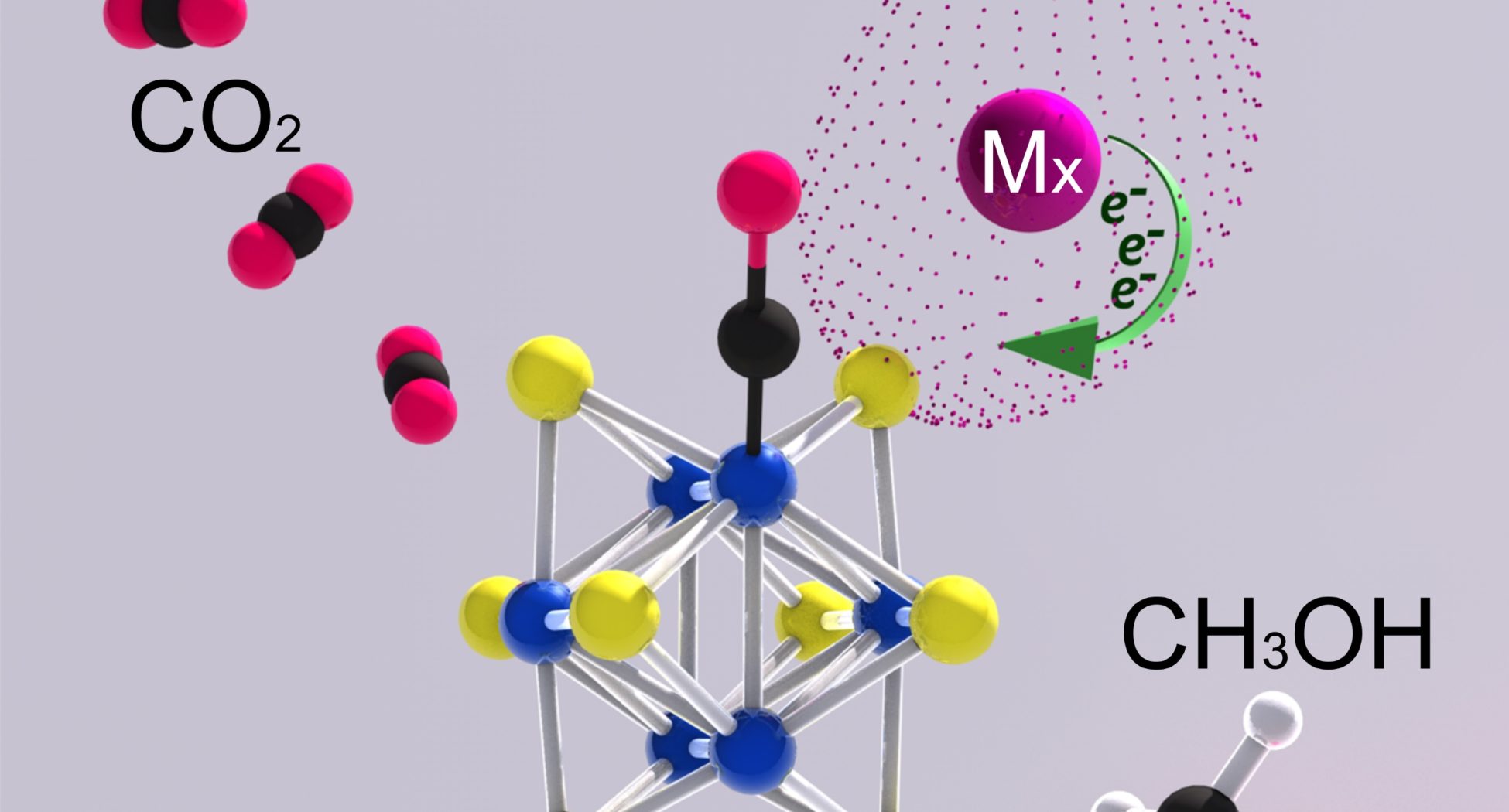 Velázquez Lab | University of California Davis
